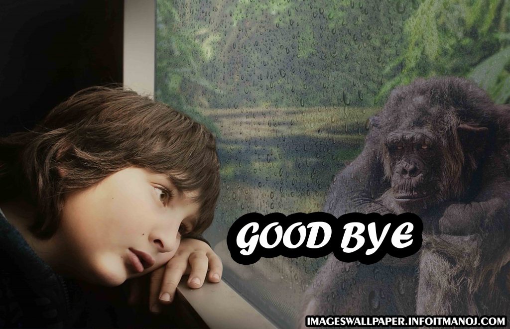Top heartfelt sad images of goodbye, pictures, photos - Latest Images ...